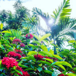 Finnish Winter Aleck Cartwright