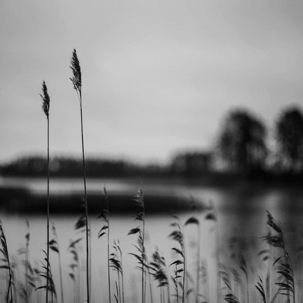 Lake Geneva | Aleck Cartwright