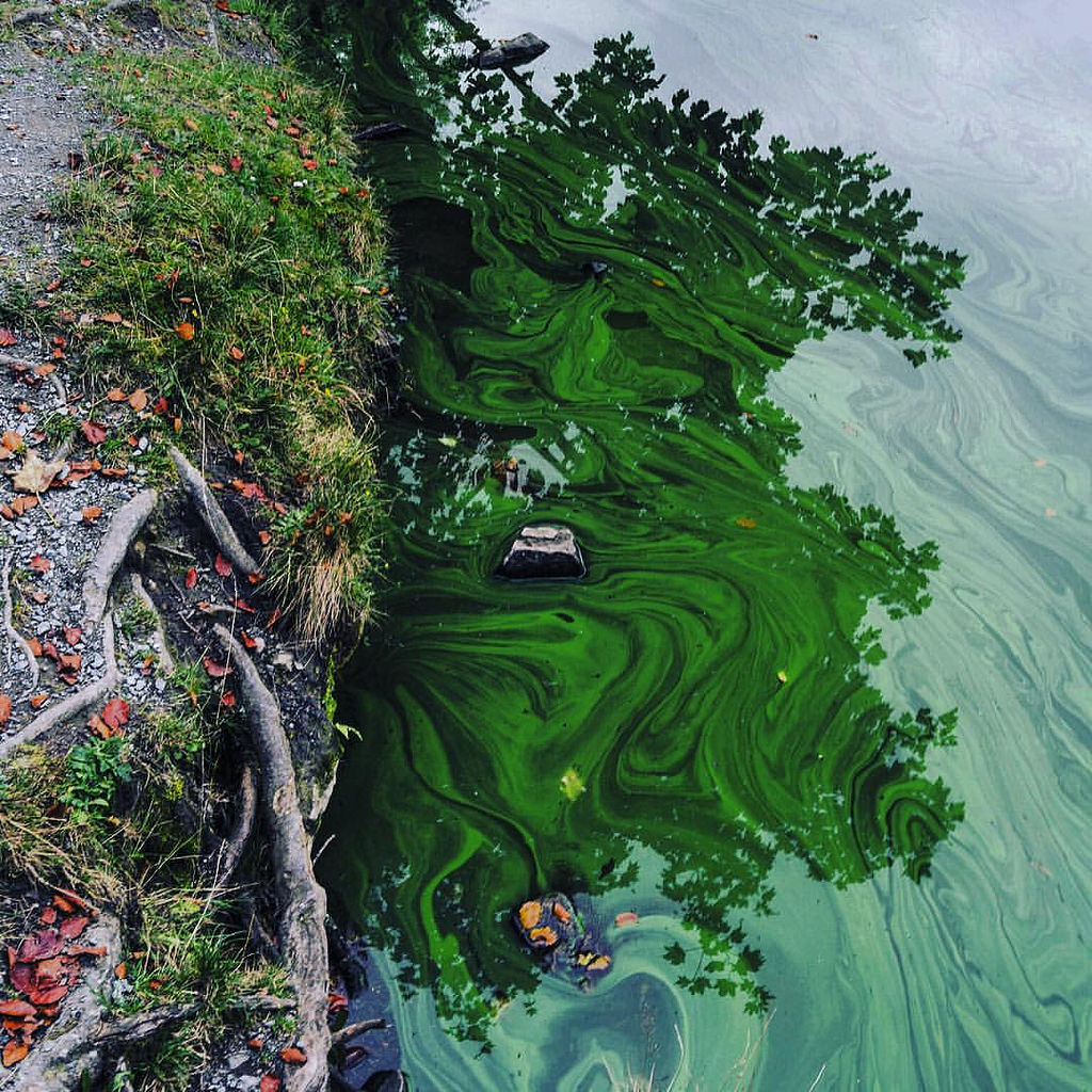 Mont Blanc, Switzerland | Aleck Cartwright