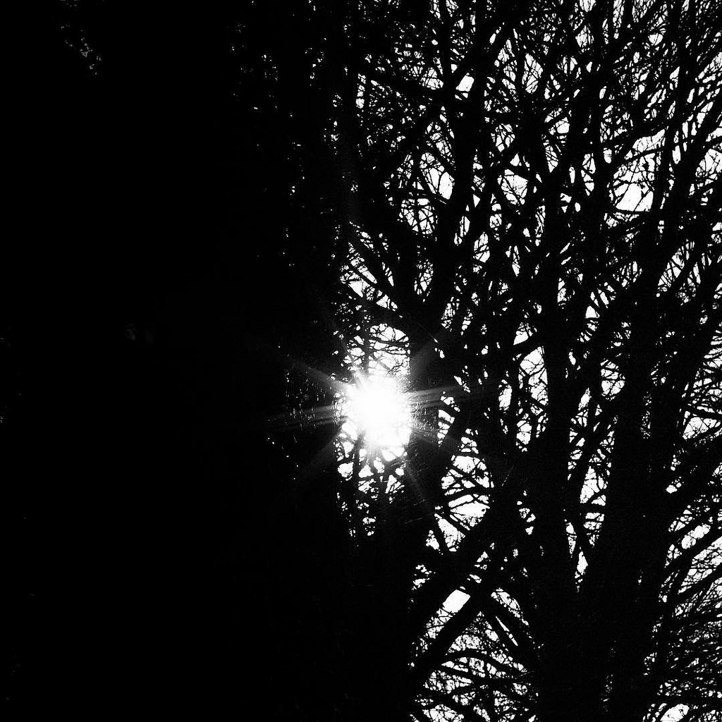 Little Himalayan Boy | Aleck Cartwright