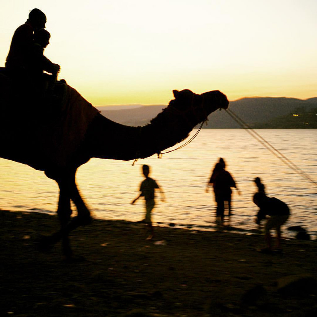 Beach moments in Newcastle, N.Ireland | Aleck Cartwright