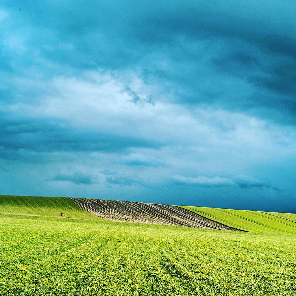 The Fields of Switzerland | Aleck Cartwright