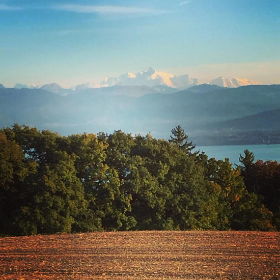 The River | Aleck Cartwright