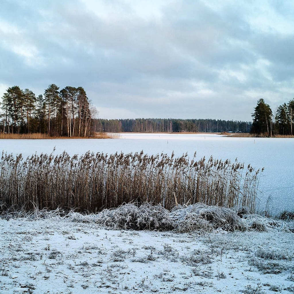 Finnish Winter Aleck Cartwright
